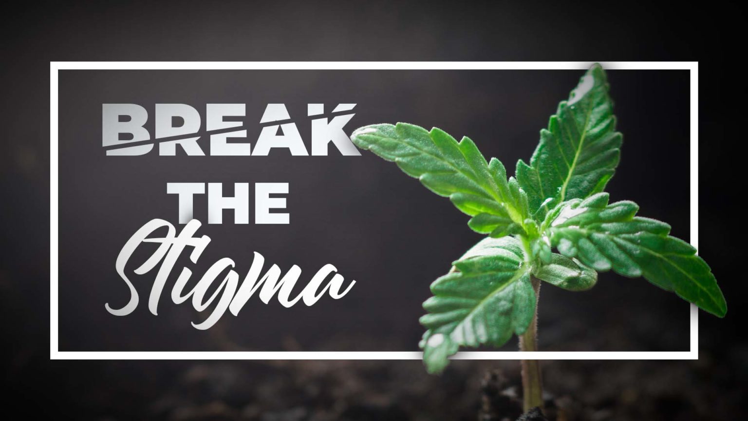 Celebrities Who Use Their Status to Break the Cannabis Stigma | Bloom ...
