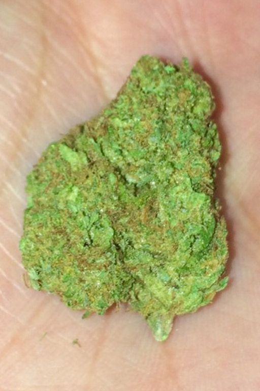 What Is a Landrace Strain? | Bloom Cannabis Blog