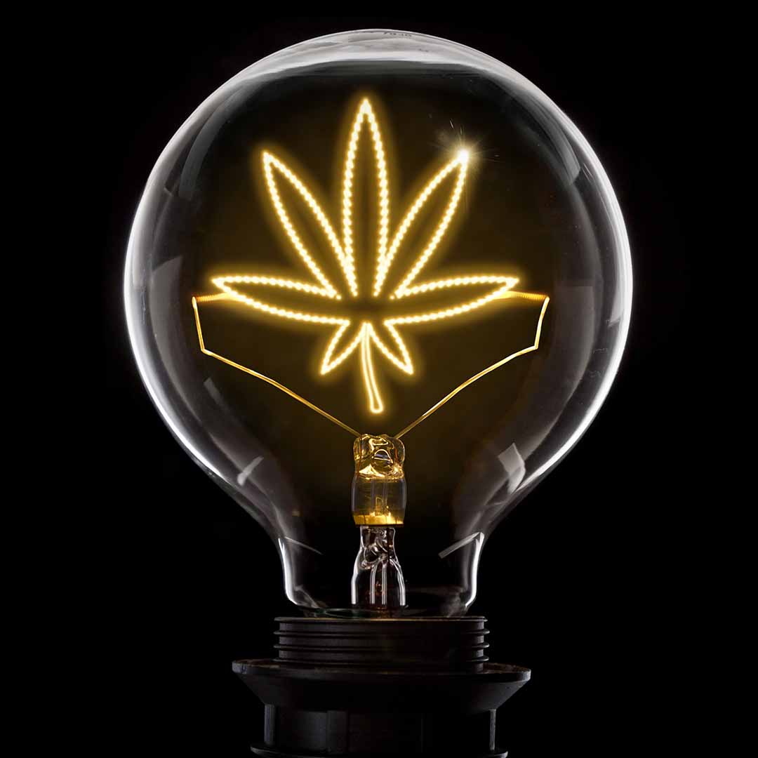 What Is a T-Break and How Long Should It Be? - Bloom - Cannabis Education