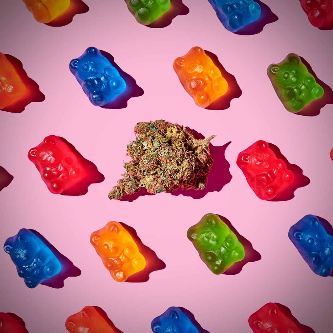 Can You Overdose on Weed? | Bloom Cannabis Blog