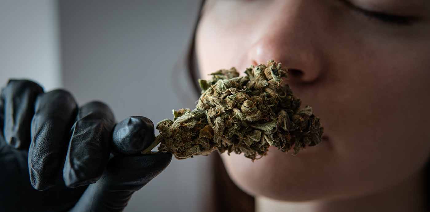 How to Get Rid of That Weed Smell | Bloom Dispensaries