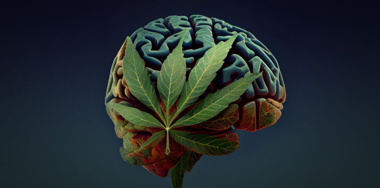 What Is Full Spectrum THC & How to Get the Most from Your Full Spectrum ...