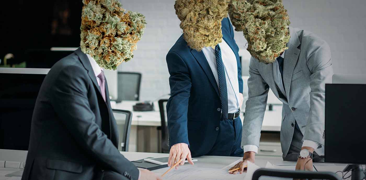 Entourage Effect in CBD, THC, and Weed - Bloom - Cannabis Education