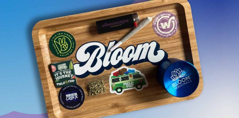 What is Kief Weed and How to Use it - Bloom - Cannabis Education