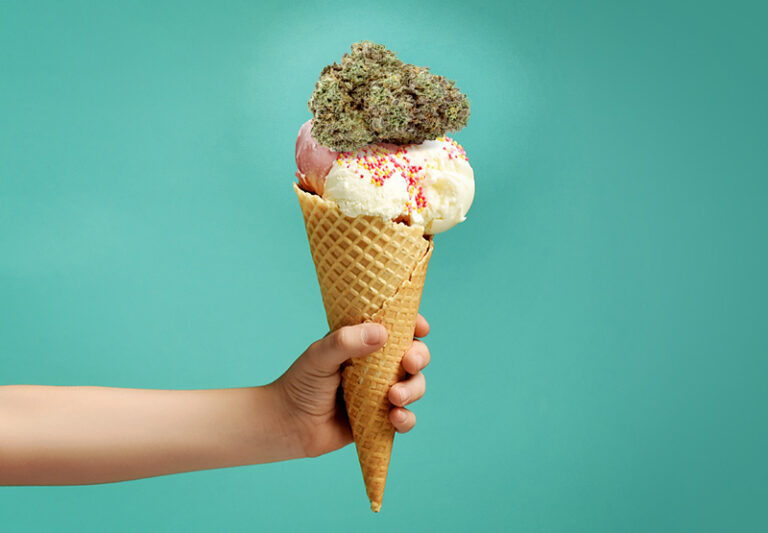 Bacio Gelato Strain - Bloom - Cannabis Education