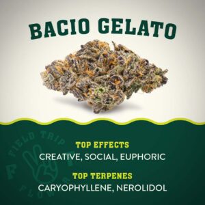 Bacio Gelato Strain - Bloom - Cannabis Education