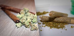 Blunt VS Joint: Difference Between a Joint and Blunt - Bloom - Cannabis ...