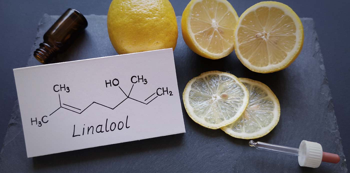 Linalool Terpene Highlight | Bloom Cannabis Blog