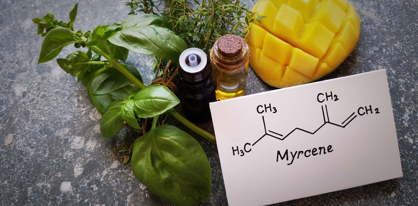 Myrcene Terpene Highlight - Relaxing Aroma and Health Benefits | Bloom ...