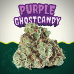 Purple Ghost Candy Strain Highlight | Bloom Cannabis Blog