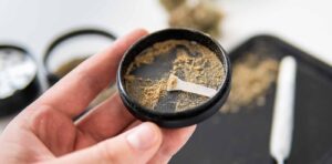 What is Kief Weed and How to Use it - Bloom - Cannabis Education