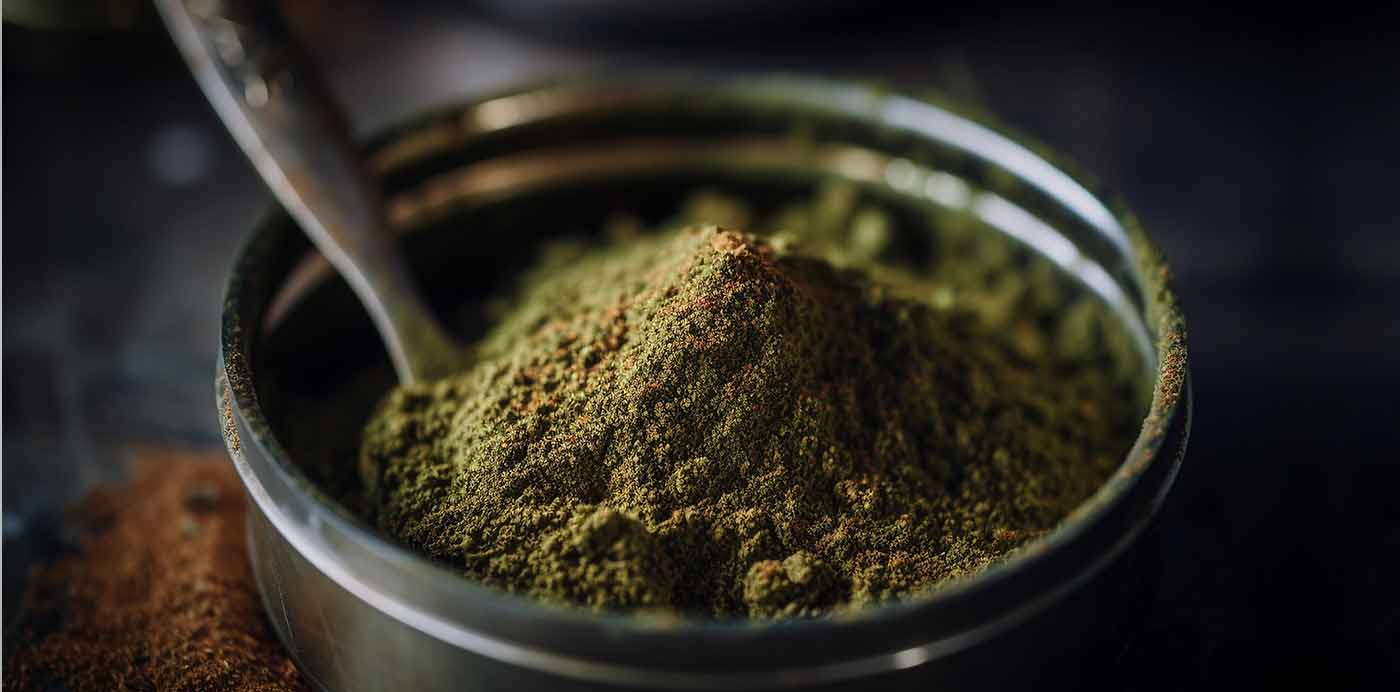 What is Kief Weed and How to Use it - Bloom - Cannabis Education
